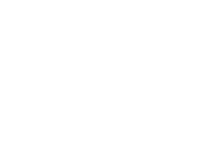 ACCHL Champions – Southern Recognition, Inc.