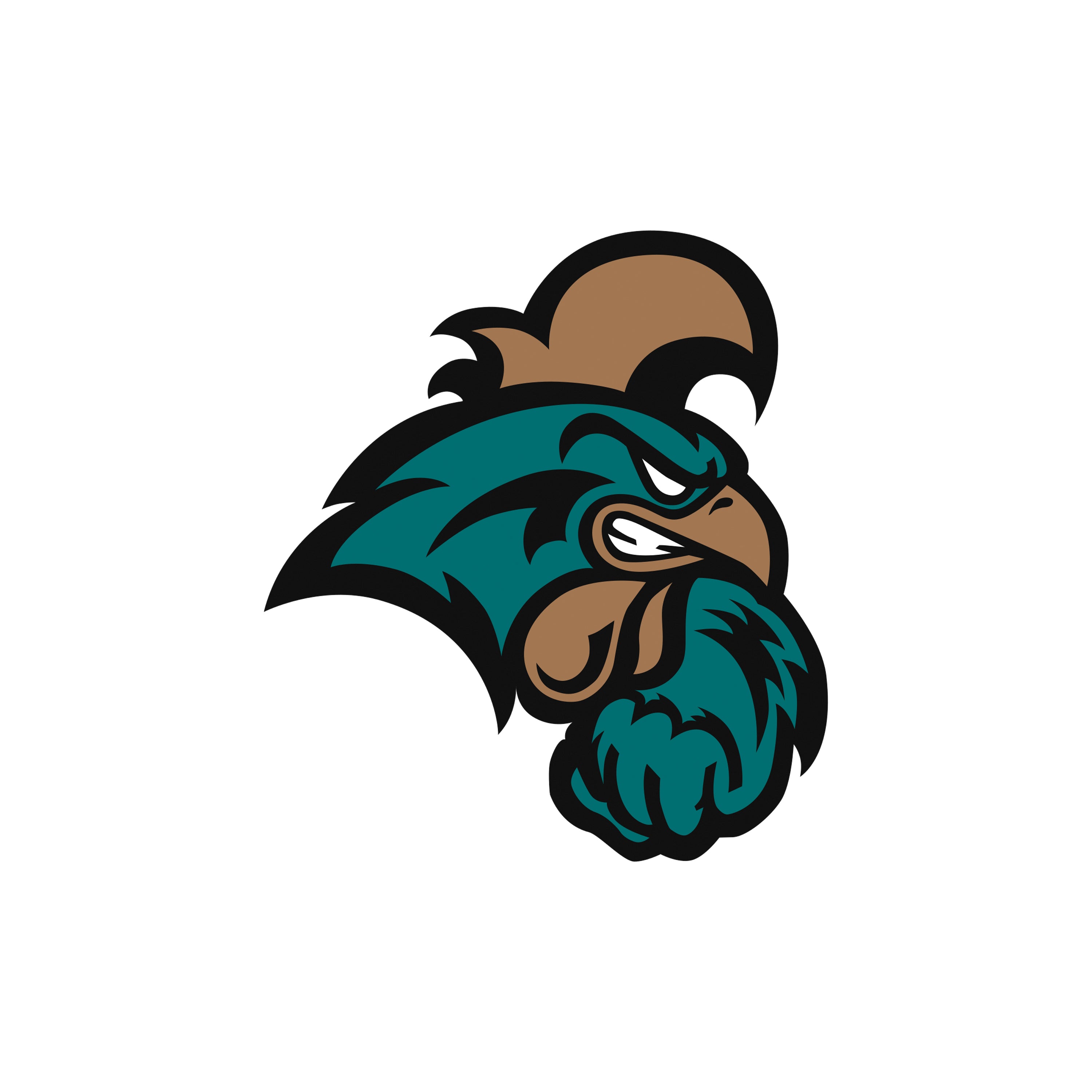 Coastal Carolina University – Southern Recognition, Inc.