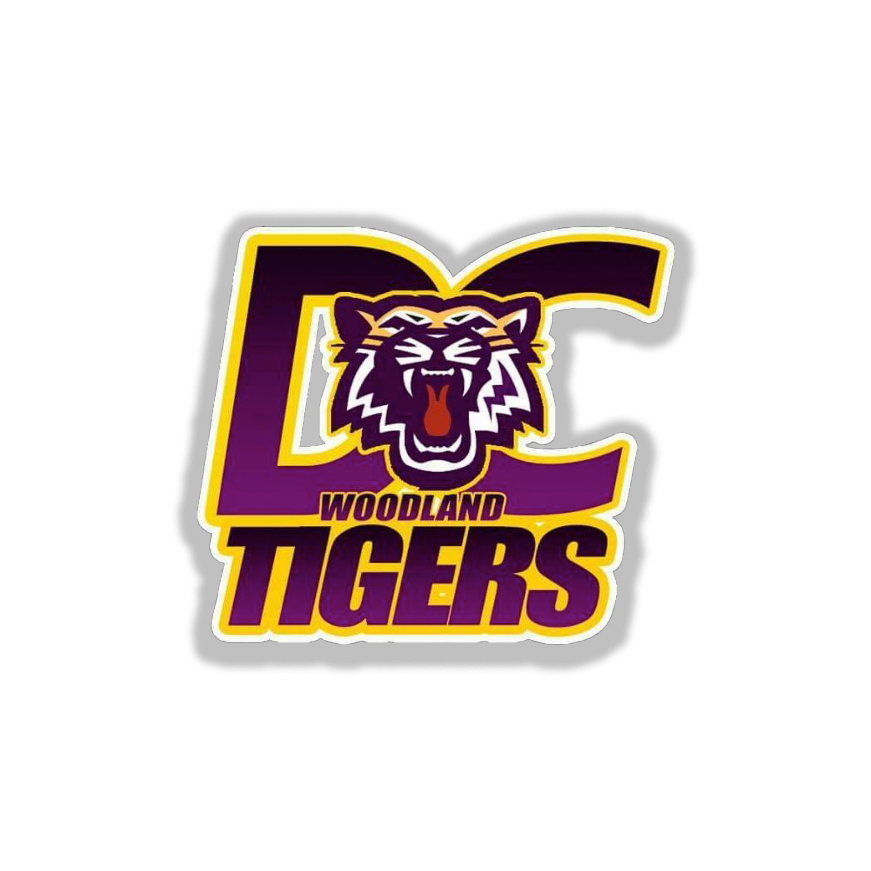DC Woodland Tigers – Southern Recognition, Inc.